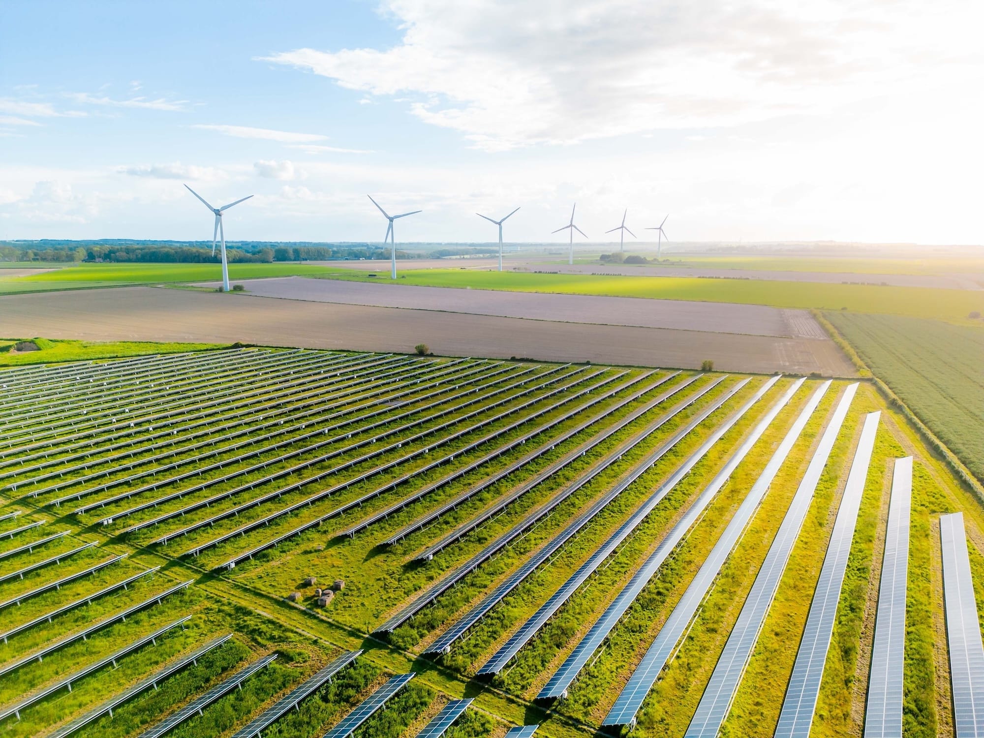 Sustainability | SKY ICT PUBLIC COMPANY LIMITED